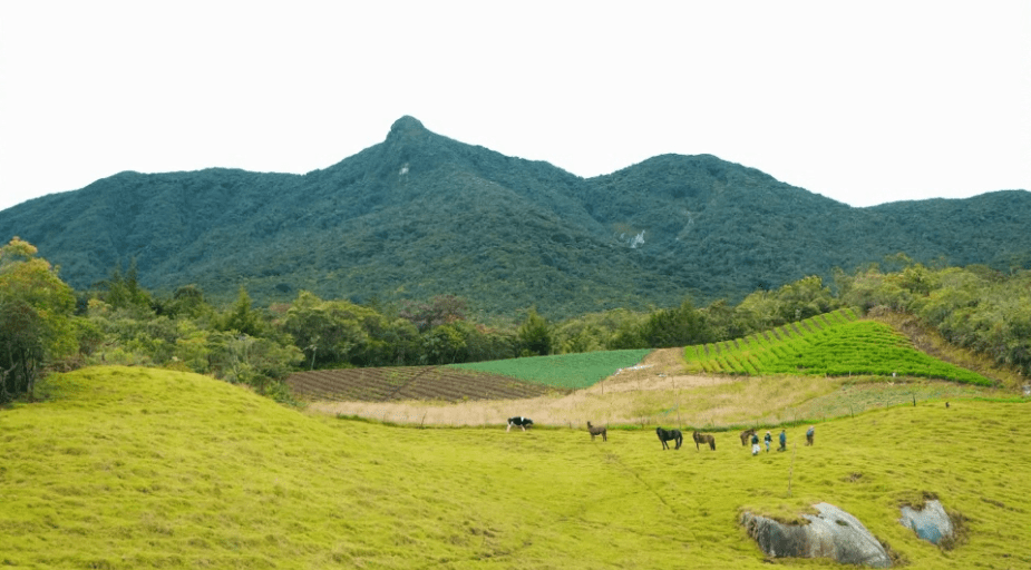 Crean reglamento para la protección del páramo de Sonsón - Telemedellín