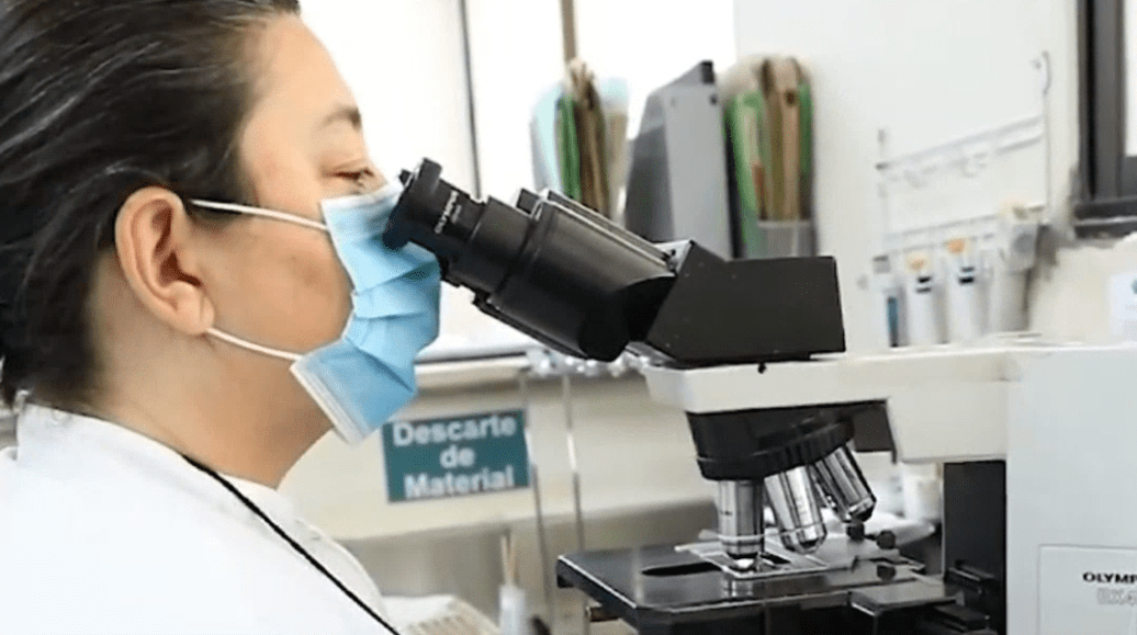 Van 2.500 casos de tuberculosis en el año: intensifican acciones para ...